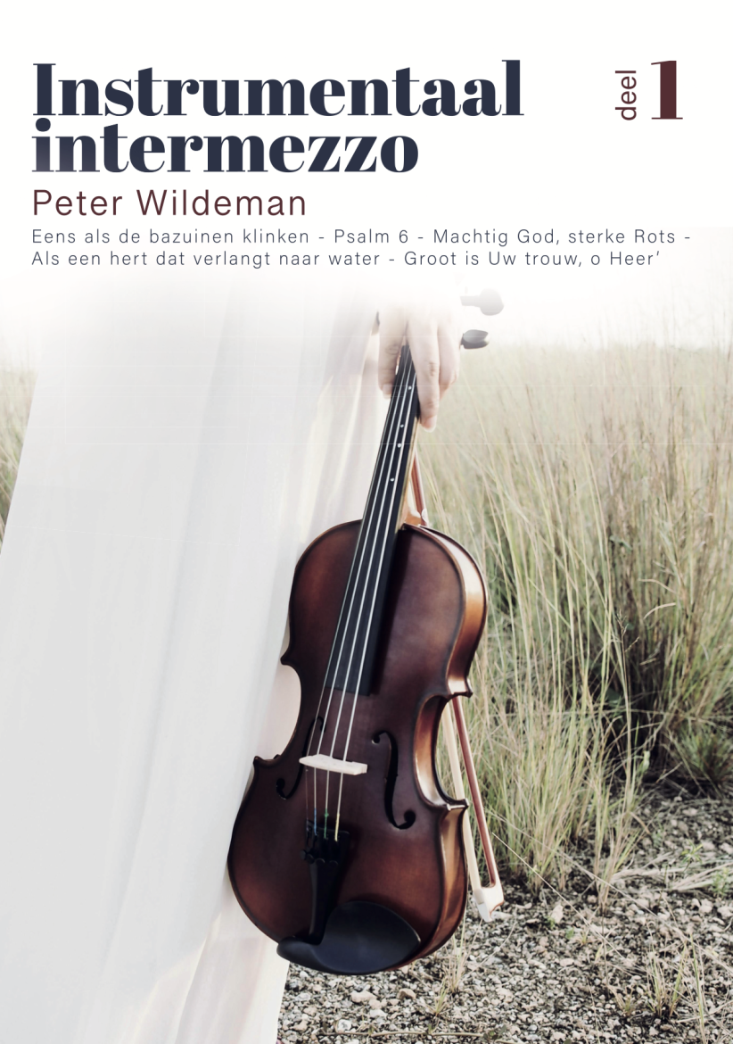 Instrumentaal intermezzo deel 1 (Peter Wildeman) - Interclassic Music